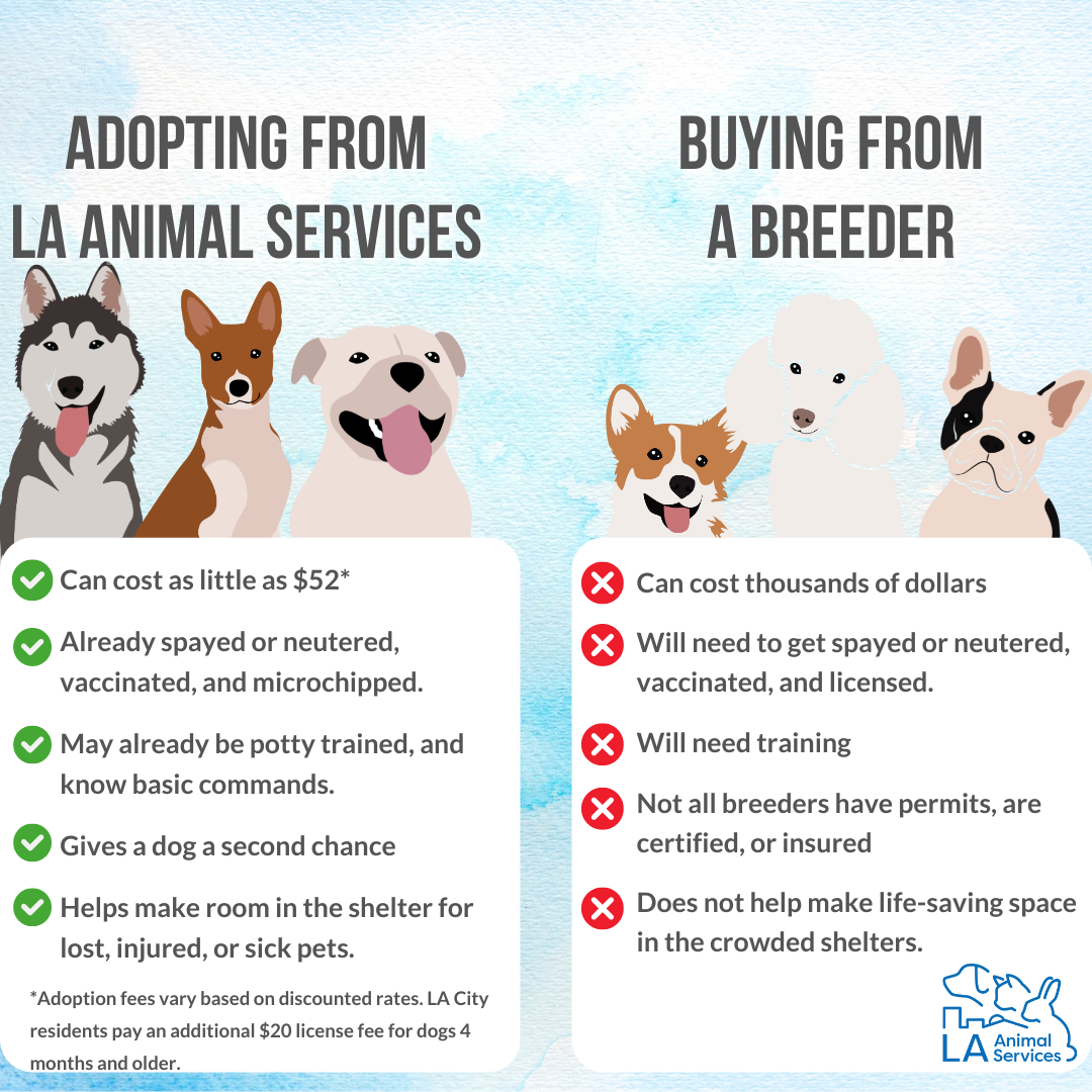 Just One More Dog | LA Animal Services