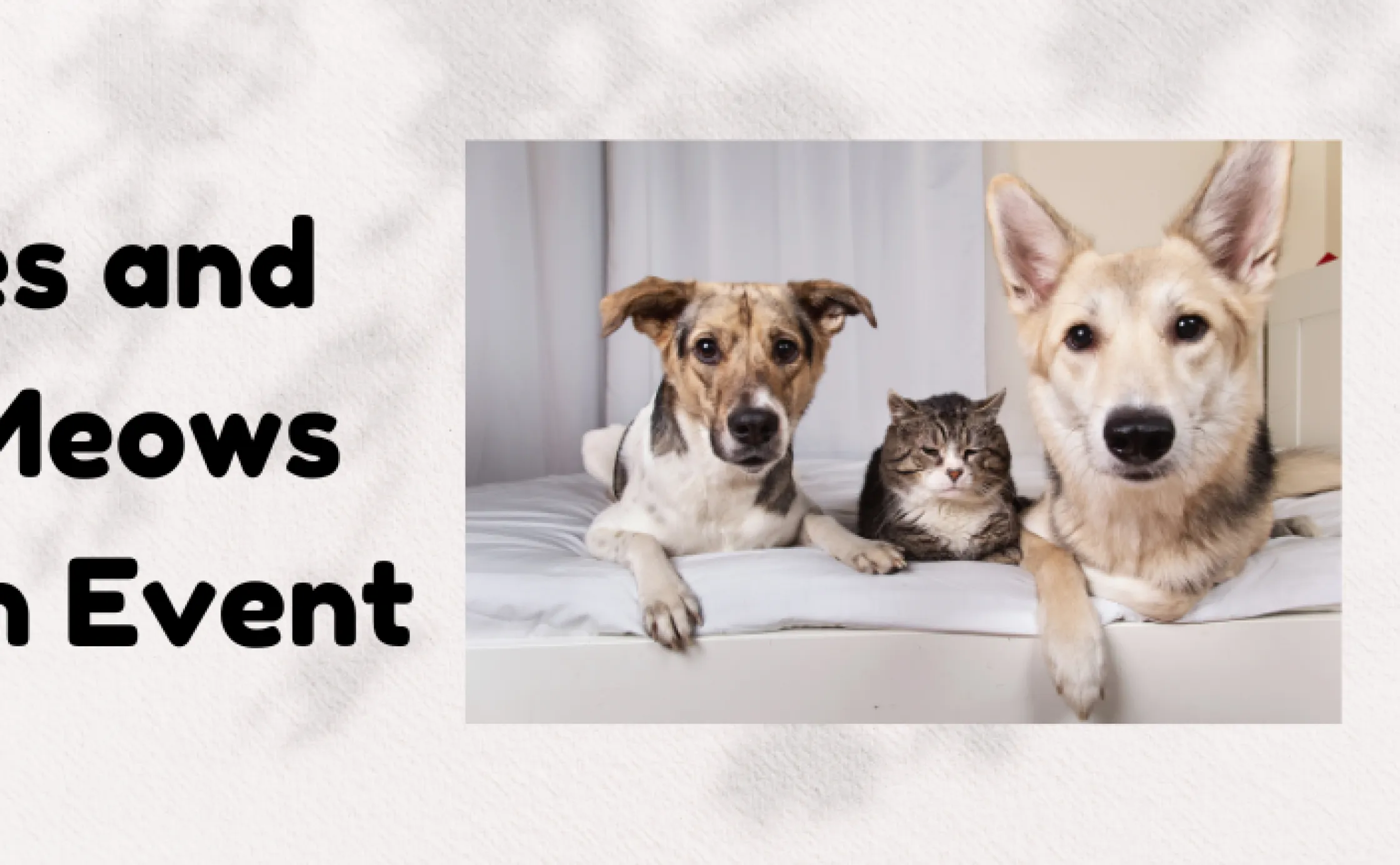 Harbor | LA Animal Services