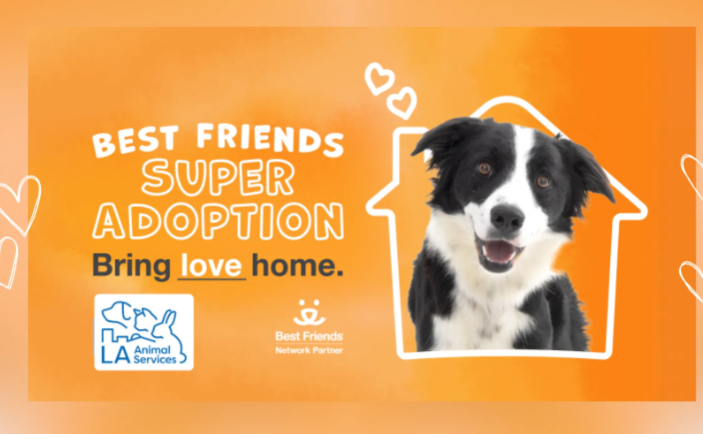 About Adoption | LA Animal Services