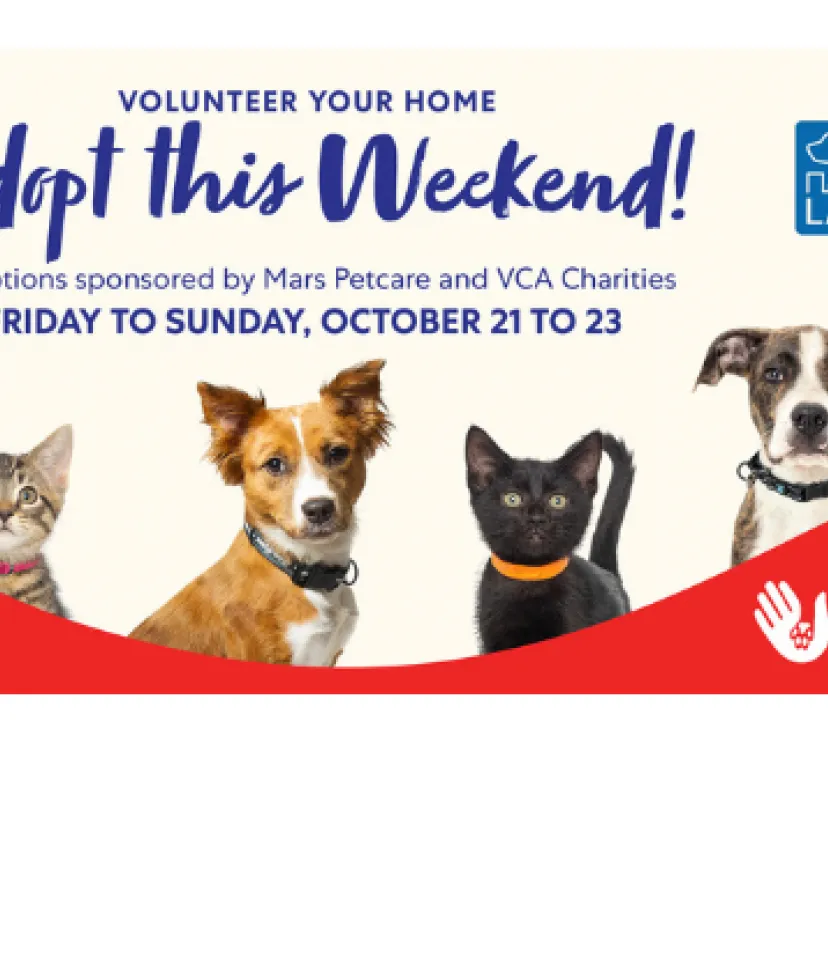 Mars Petcare and VCA Charities Adoption Event | LA Animal Services