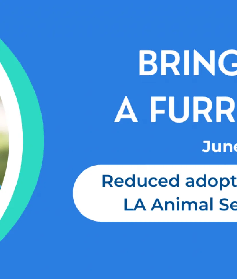 Bring Home a Furry Friend Adoption Weekend | LA Animal Services